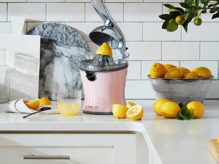Best Orange Juicer Reviews 2019 Top Rated Citrus Juicers Machines