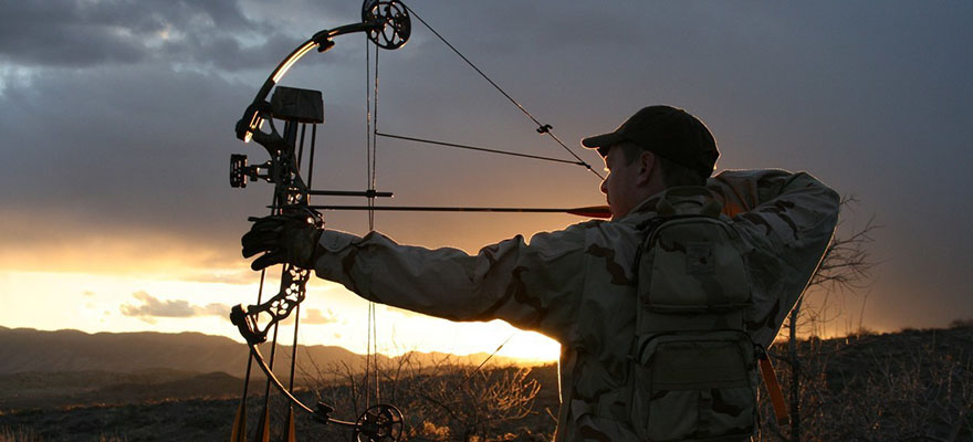 How to pick your First Bow: Recurve, Compound or Crossbow?