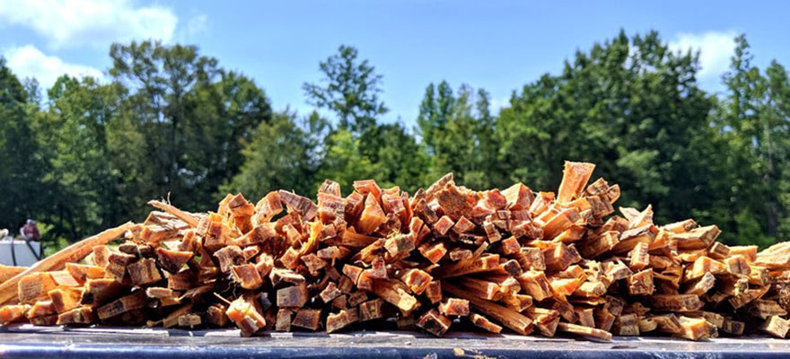 The Benefits, Uses, And How To Make Fatwood | Ultimate Guide