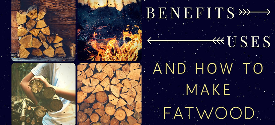 The Benefits, Uses, And How To Make Fatwood | Ultimate Guide